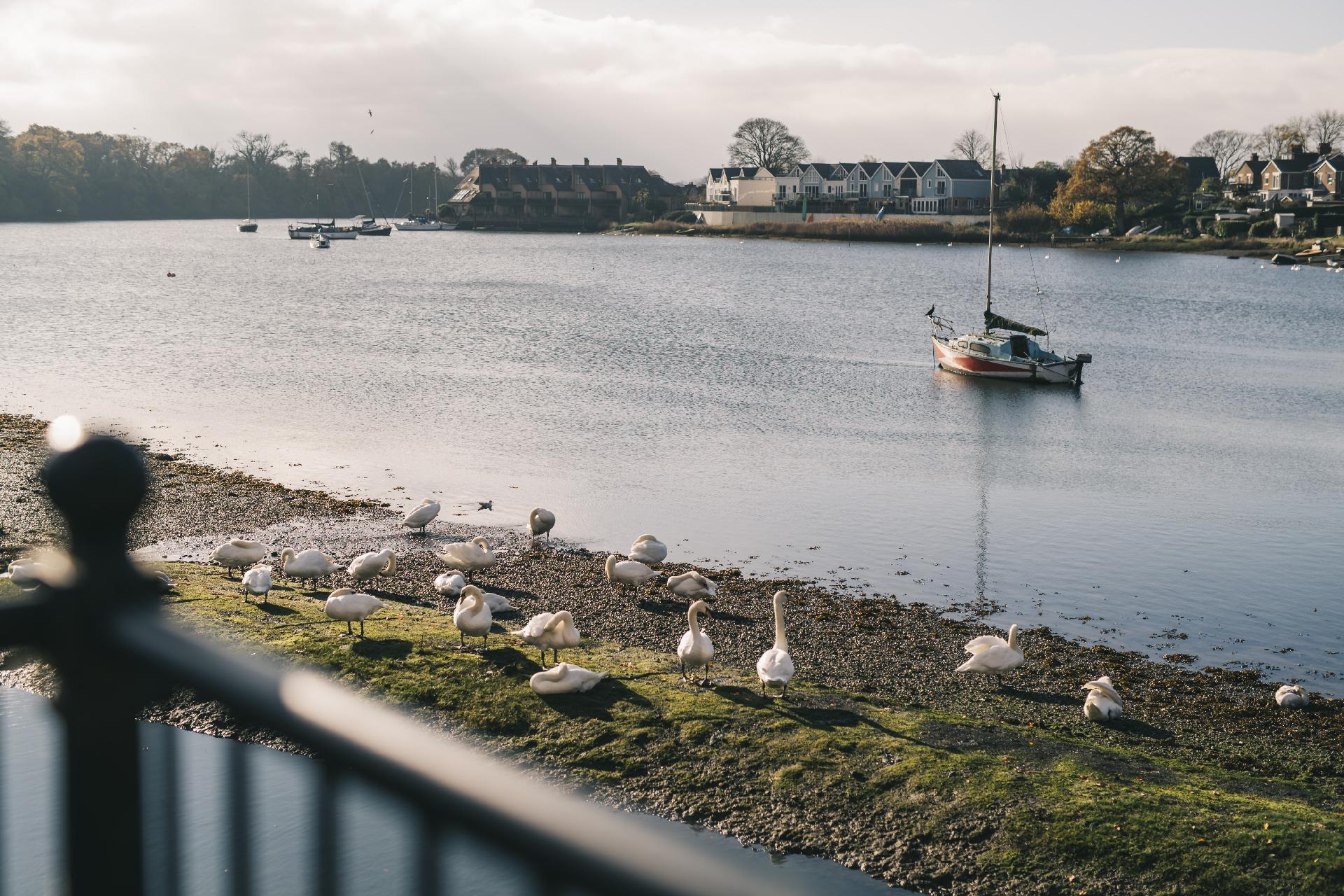 Cams Mill - Fuller's Pub and Restaurant in Fareham
